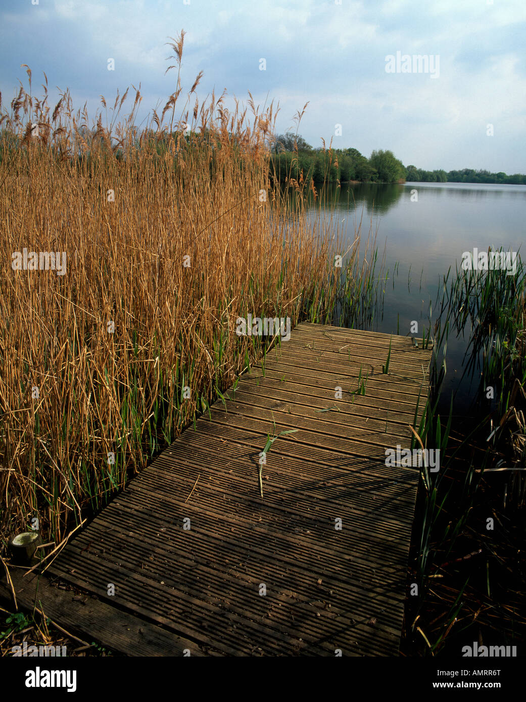 Dinton country park hi-res stock photography and images - Alamy