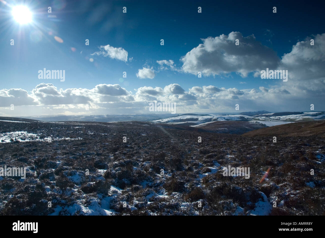 Winter scene of snowy fields with tufts of grass against a blue sky ...