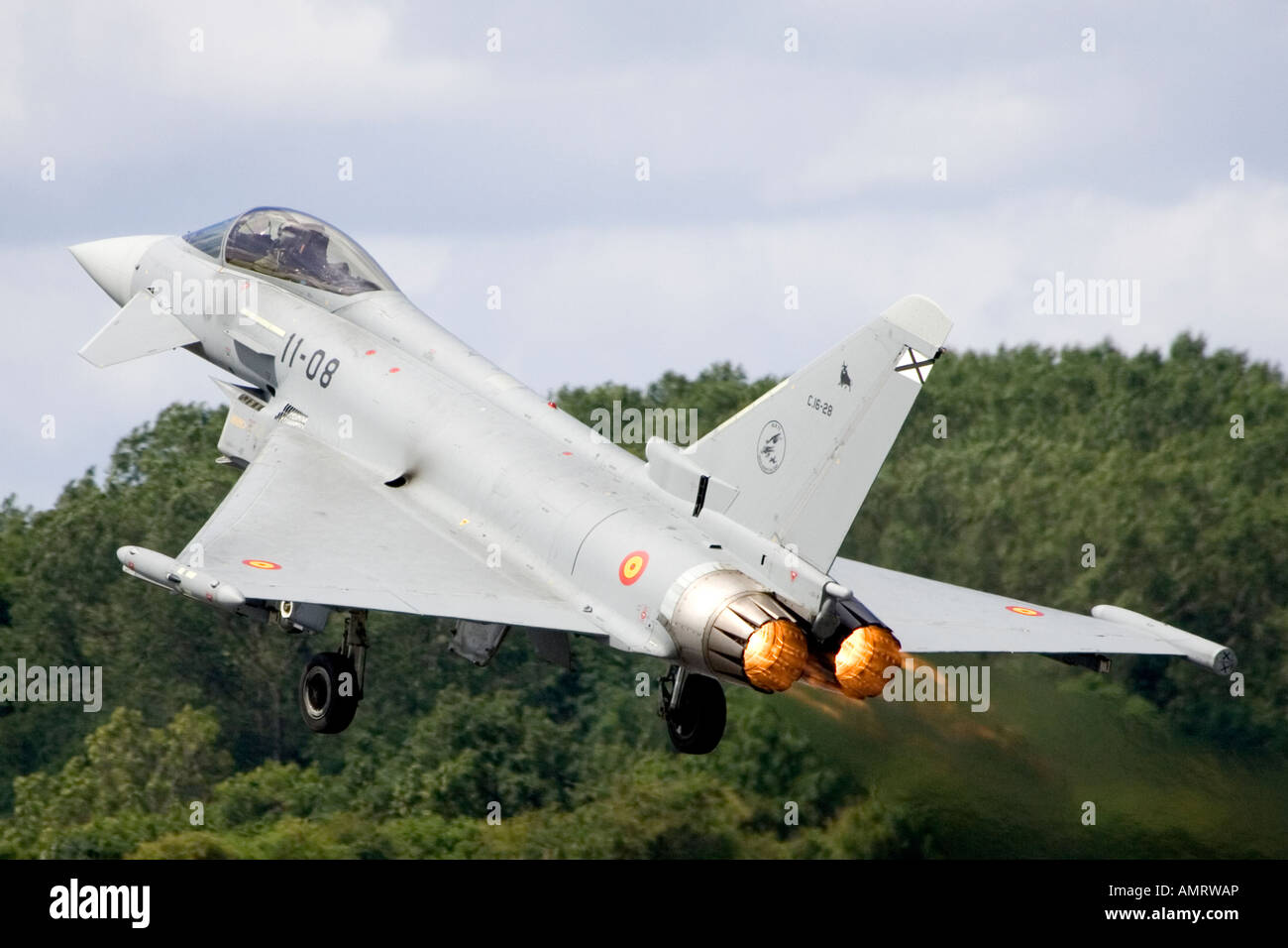 Twin Engine Canard Aircraft at Sherry Ramos blog