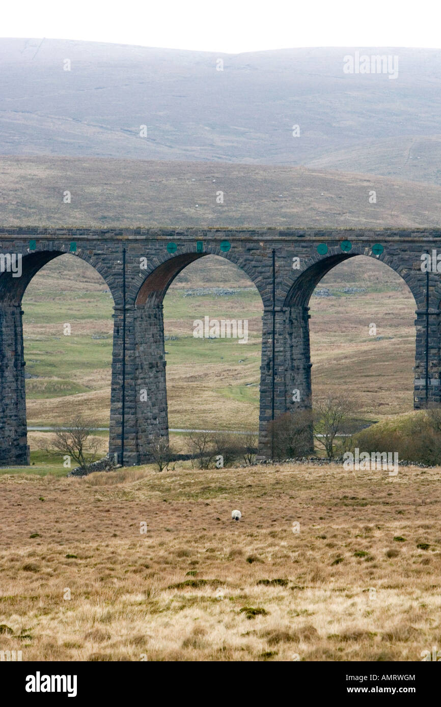 Ribblehead Viaduct Yorkshire Dales viaduct Stock Photo - Alamy