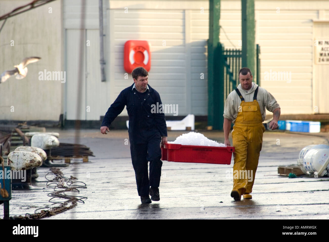 Fishmonger carrying fish hi-res stock photography and images - Alamy