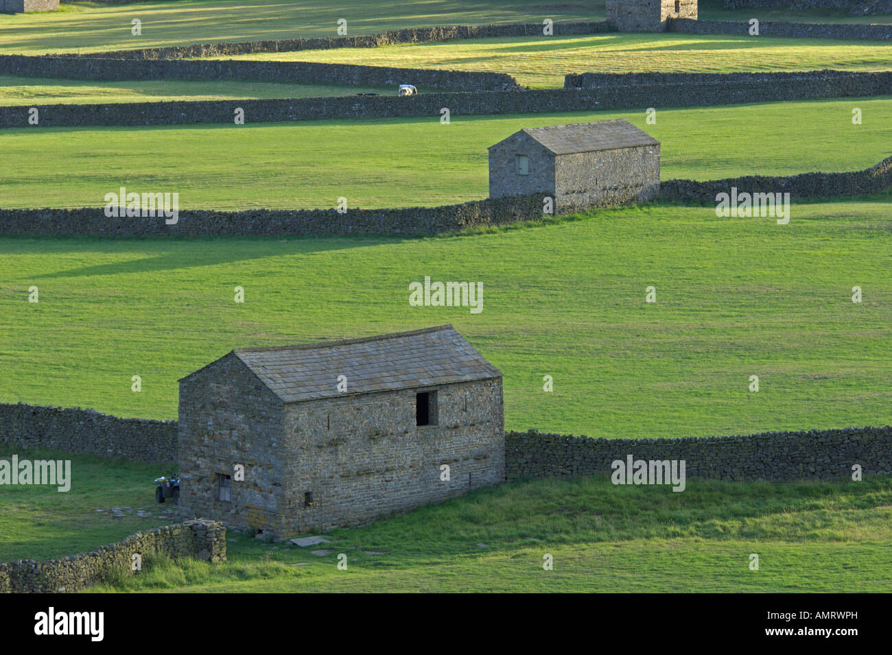Swale Dale Gunnerside Yorkshire Dales National Park Yorkshire August ...