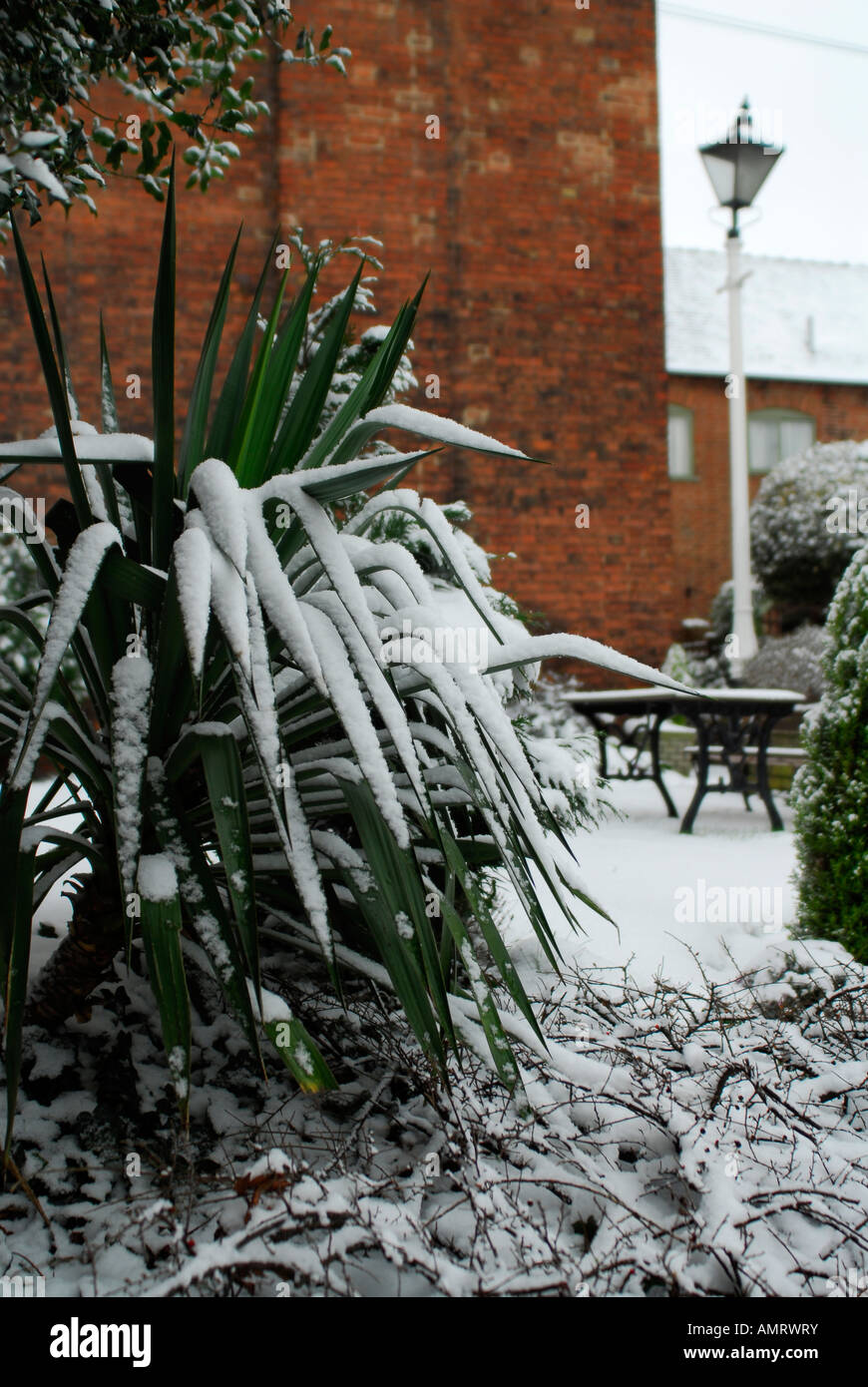 Snowy urban winter scene with garden shrubs, old fashioned lampost and ...