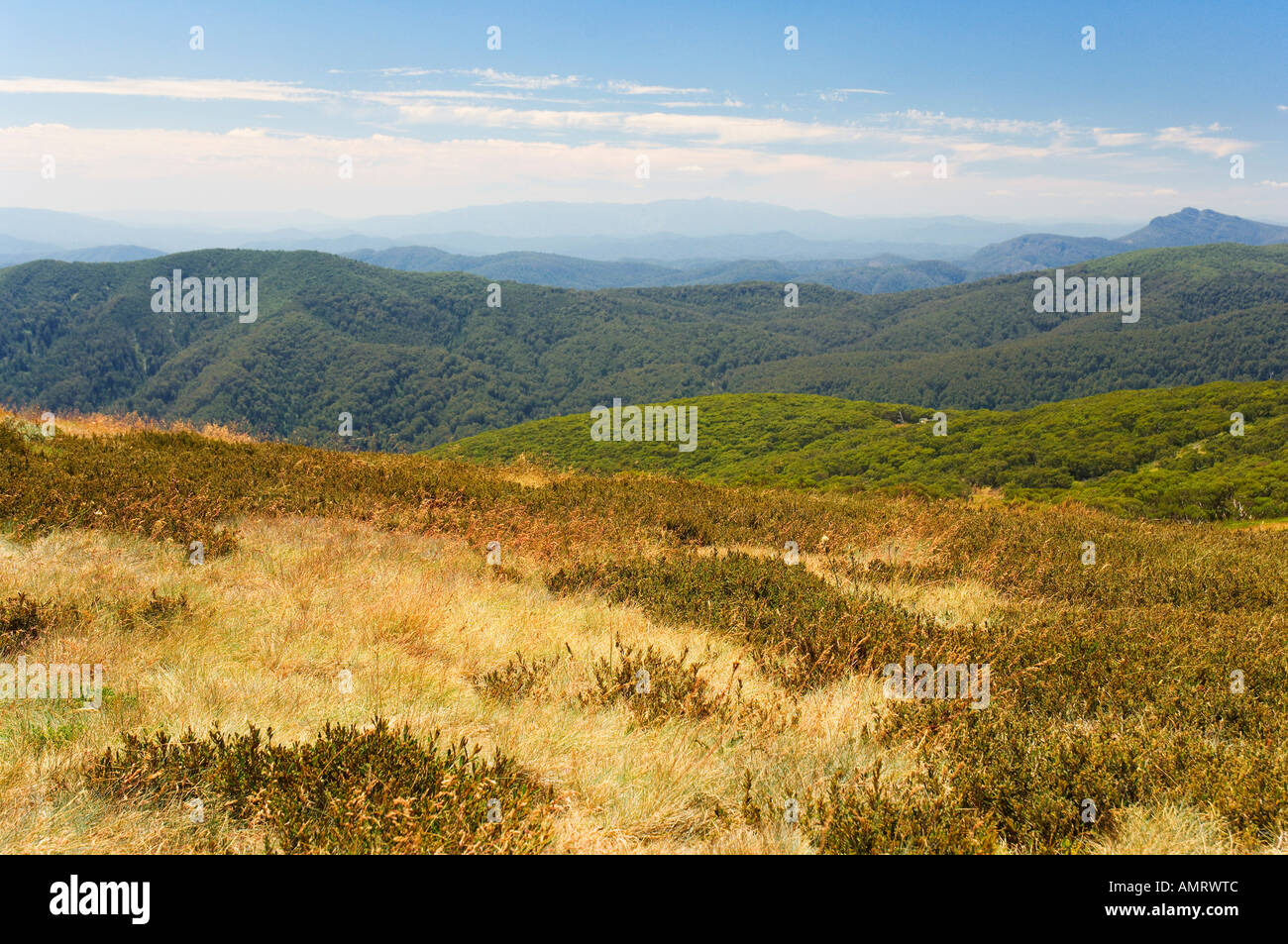 Australian alps wilderness hi-res stock photography and images - Alamy
