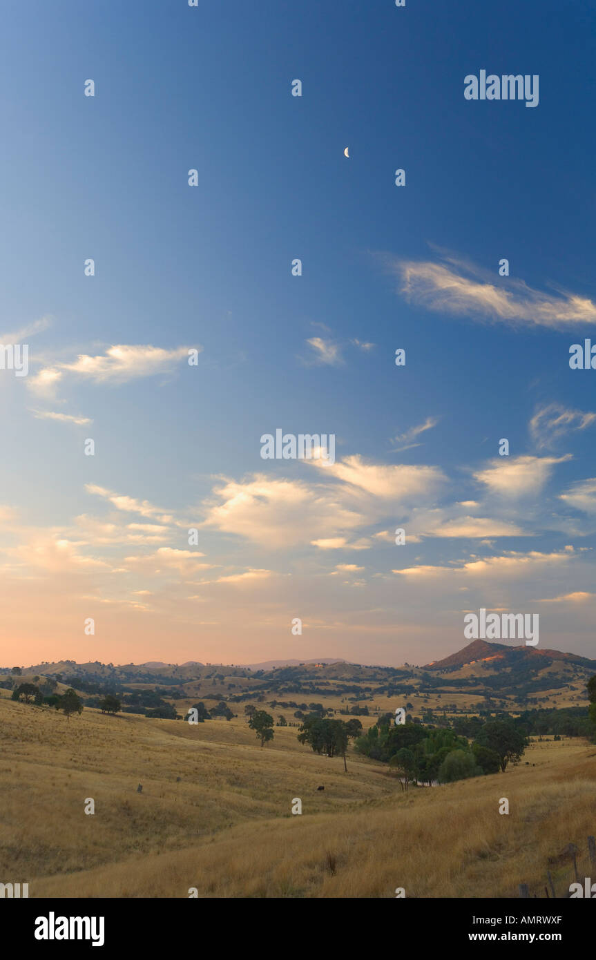 Mansfield australia hi-res stock photography and images - Alamy