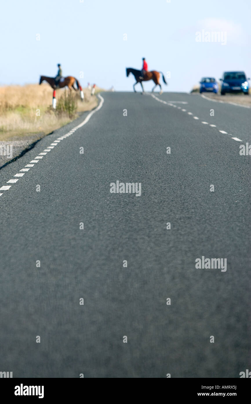 Two 2 people riding horses across a road Stock Photo - Alamy
