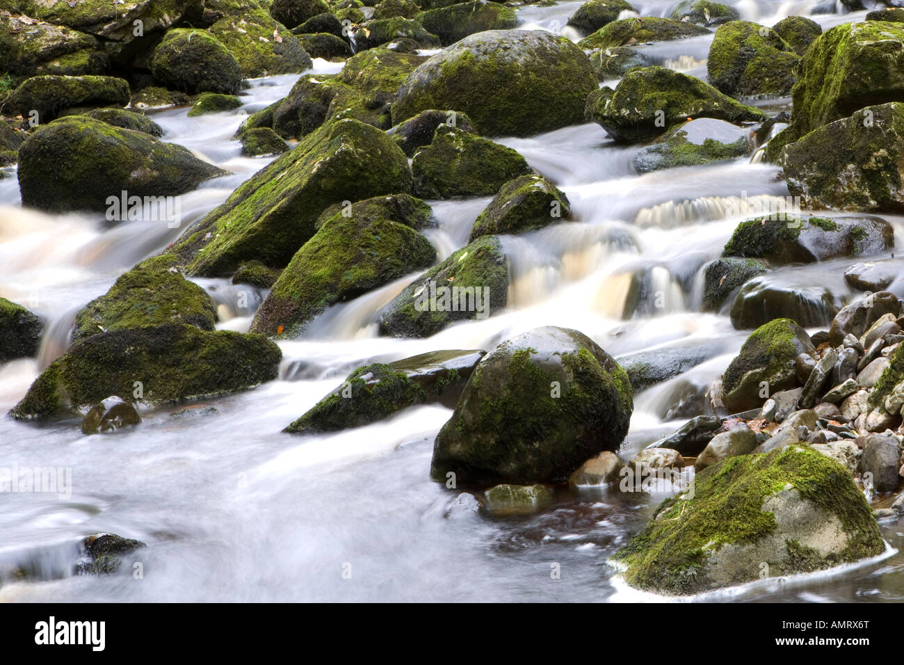 English Countryside stream Stock Photo - Alamy