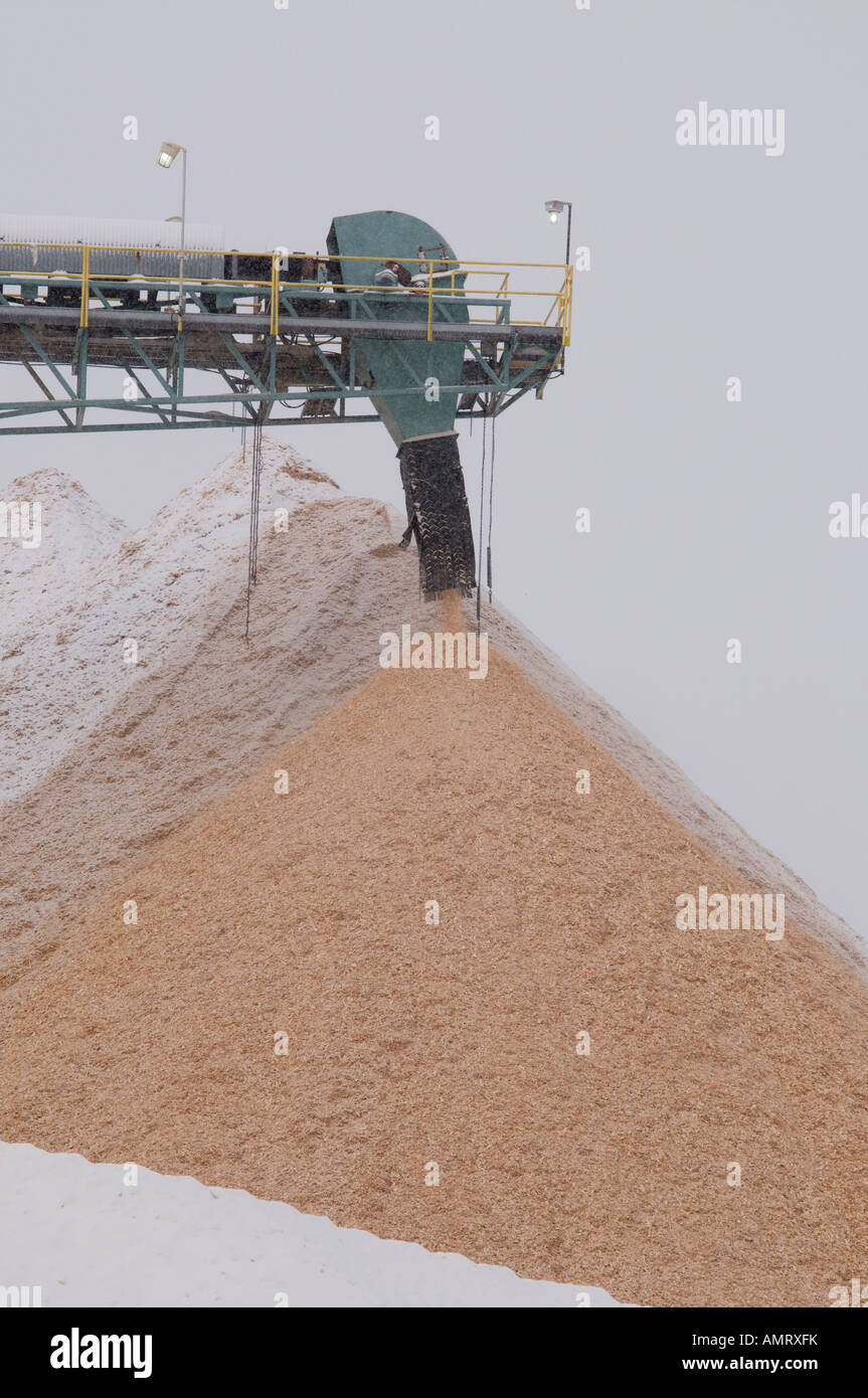 Conveyor belt and chip pile at the Abitibi Bowater Pulp and Paper Mill ...