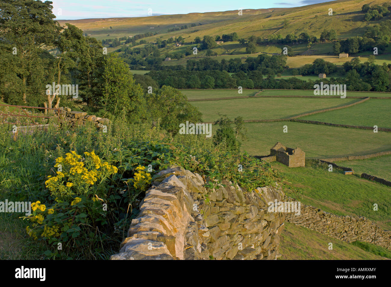 Swale Dale Gunnerside Yorkshire Dales National Park Yorkshire August ...