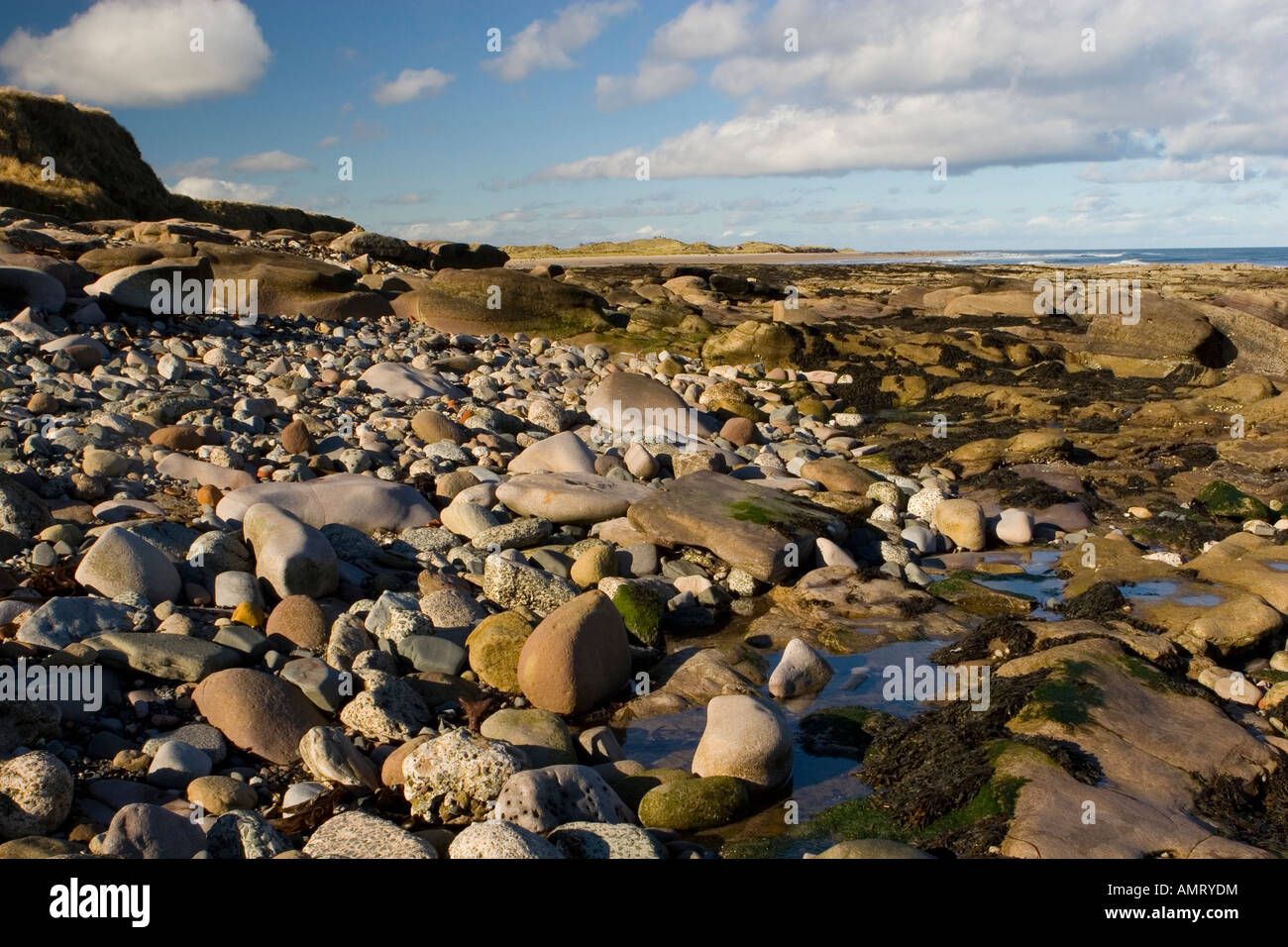 Northumbrian coast hi-res stock photography and images - Alamy