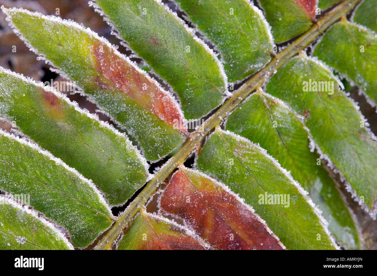 The queets hi-res stock photography and images - Alamy