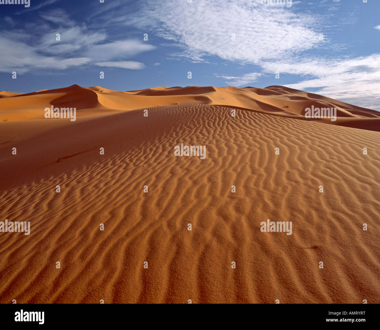 The sands of a Saharan sand dune near Hassi Labiad Morocco Africa Stock ...