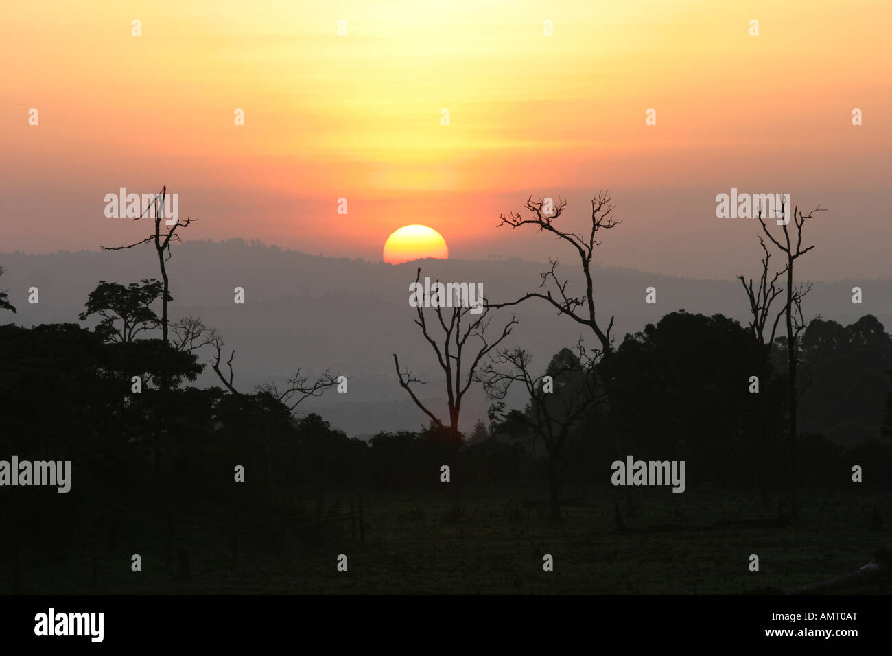 Kenya Aberdare National Park Kenya Sun rise at treetops lodge Stock ...