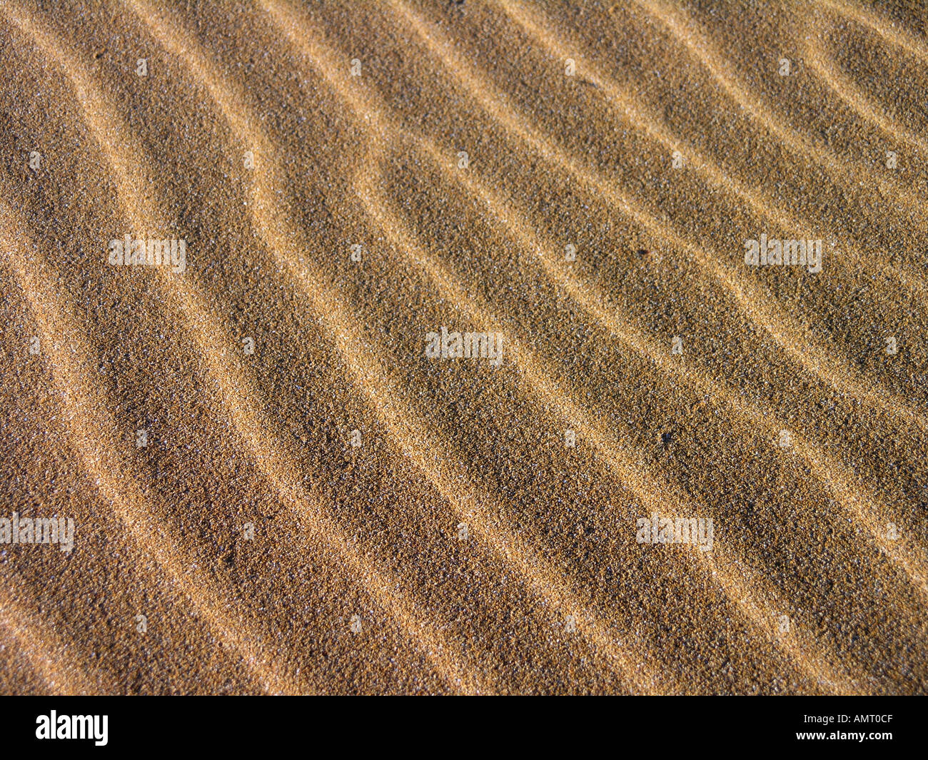 sand ridges in patterns created by the wind Stock Photo - Alamy