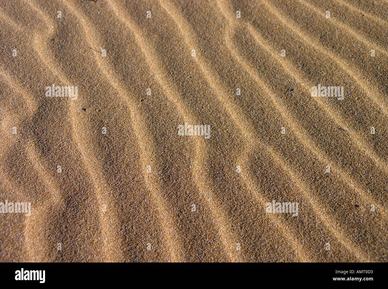 Patterns in the sand Stock Photo - Alamy