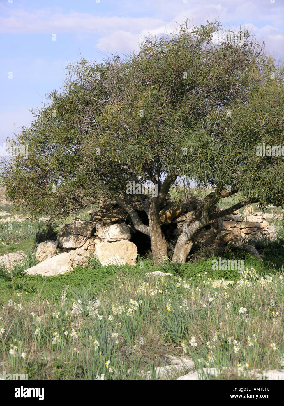 The open country hi-res stock photography and images - Alamy