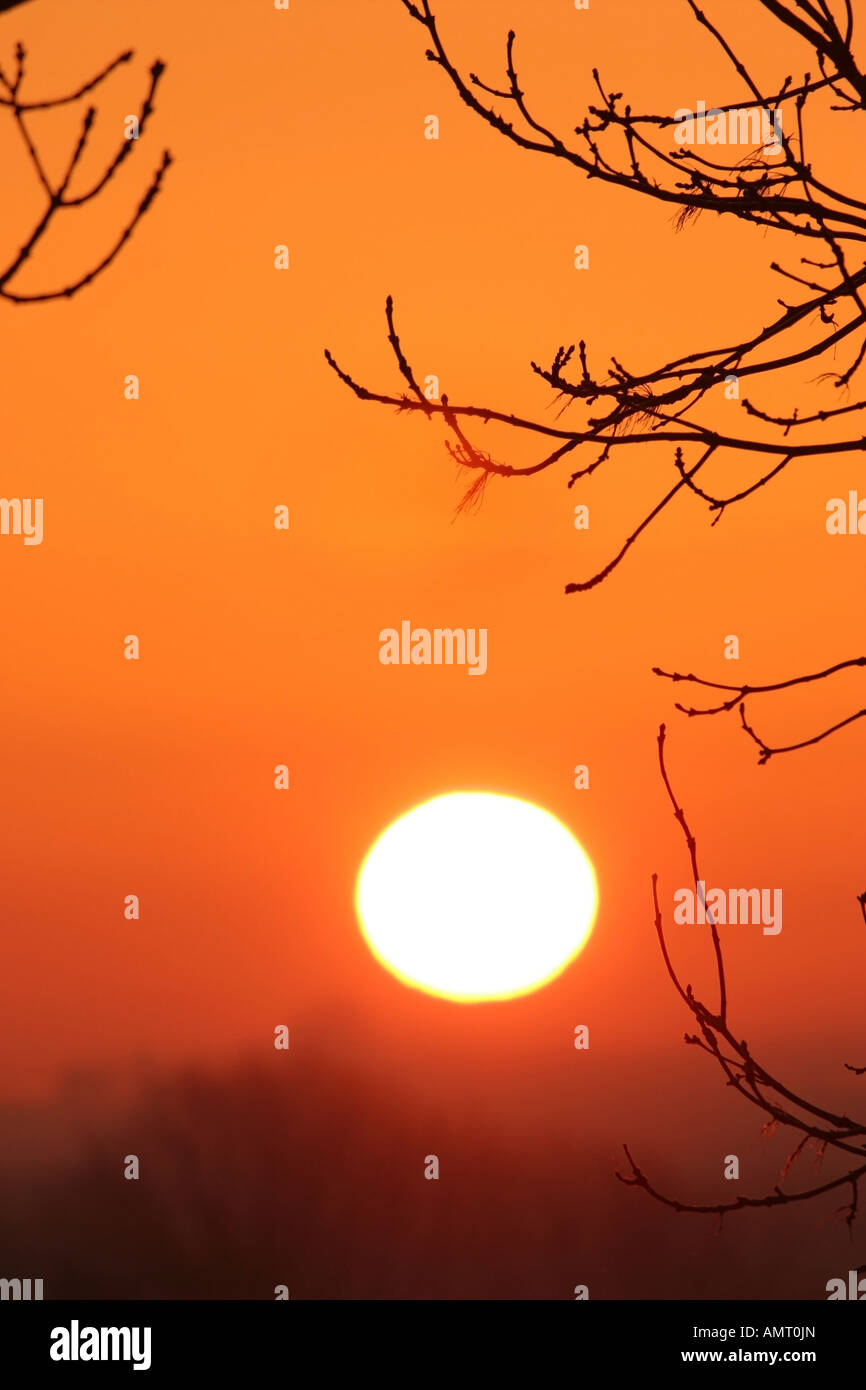 Tree framed hi-res stock photography and images - Alamy