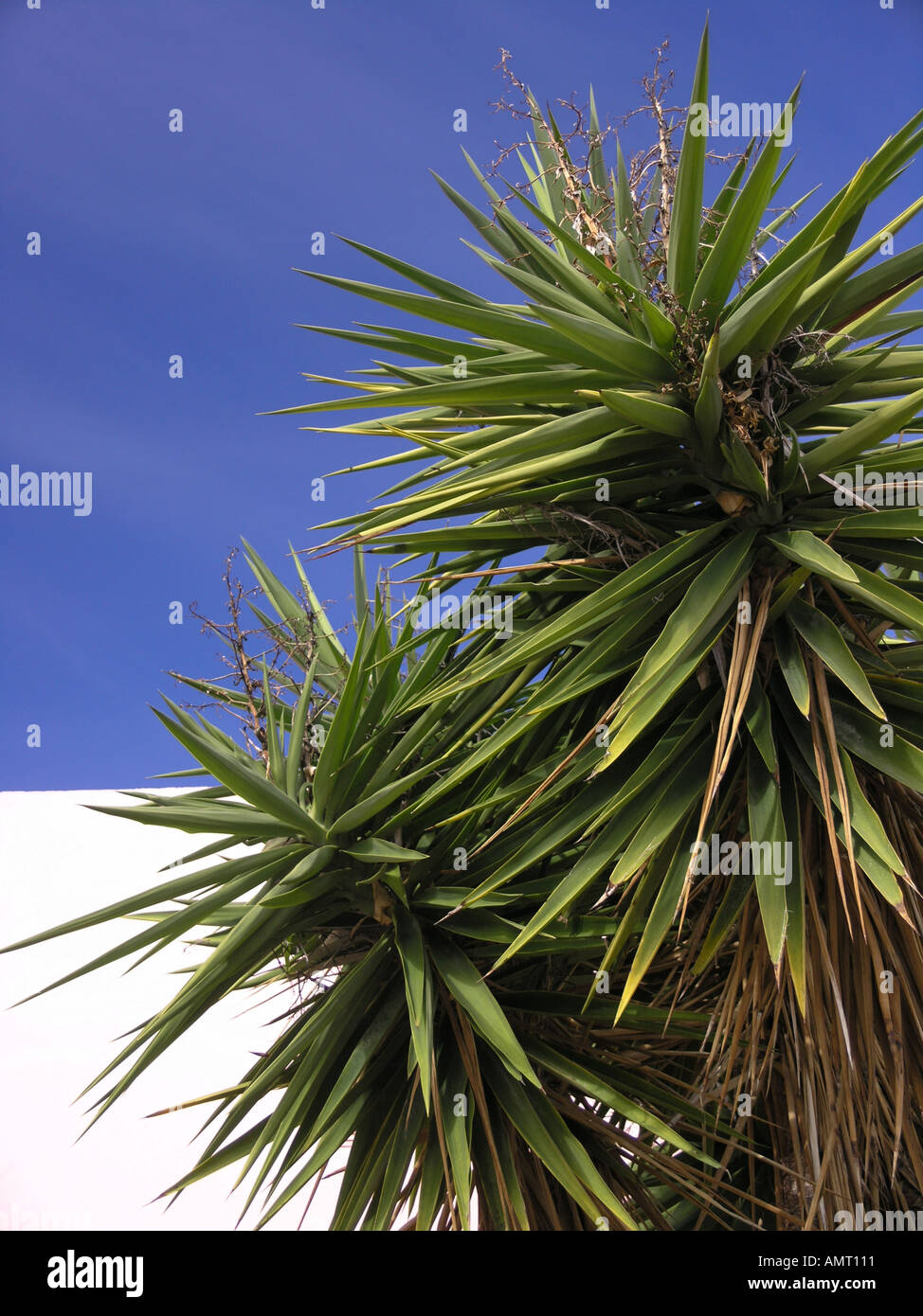 Spikey building hi-res stock photography and images - Alamy