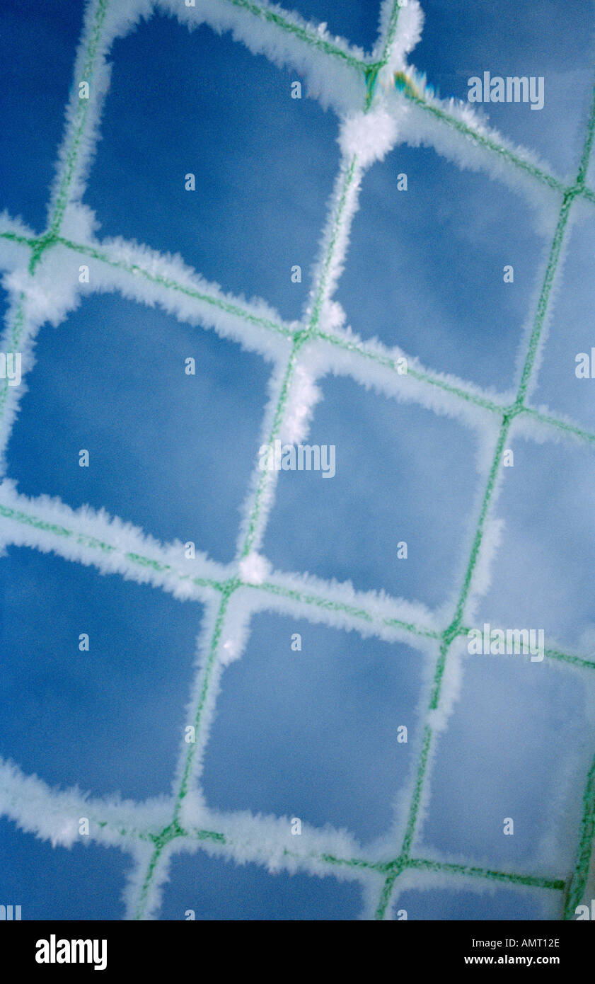 A frozen web Stock Photo - Alamy