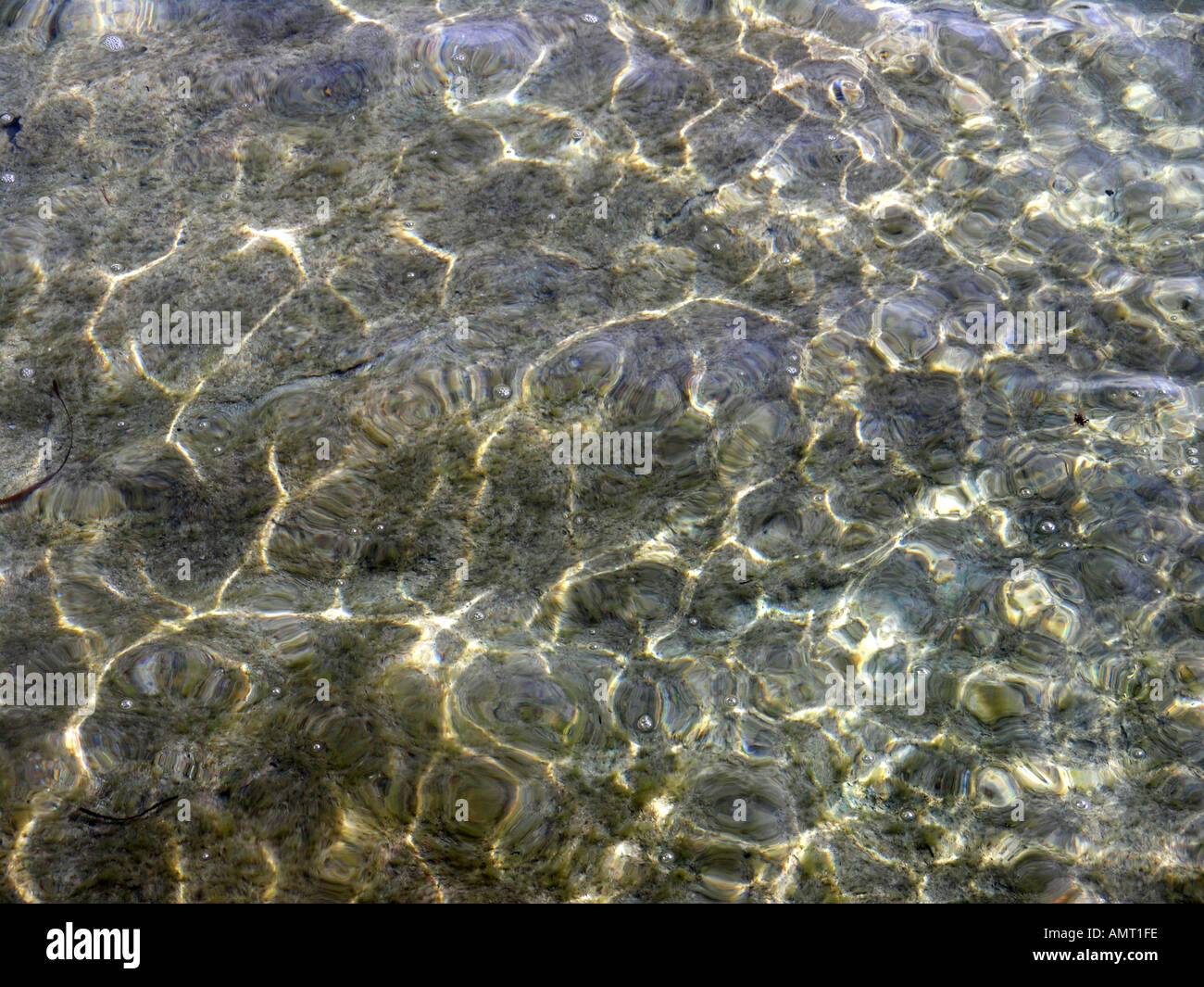shallow pool of sea water with light patterns ripples Stock Photo - Alamy