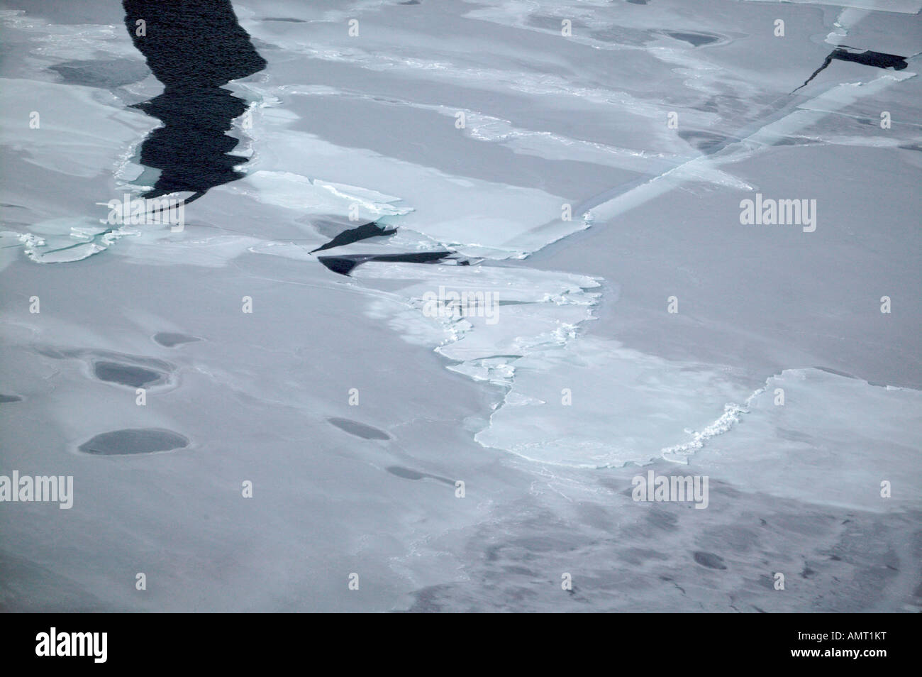 Ice floating on sea Stock Photo - Alamy
