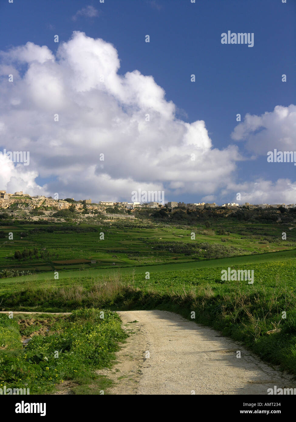 Fields and road in Gozo Malta Stock Photo - Alamy