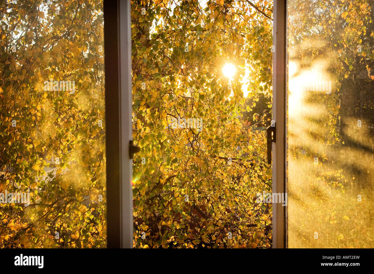 Looking through an open window at sunlight shining through the autumn ...