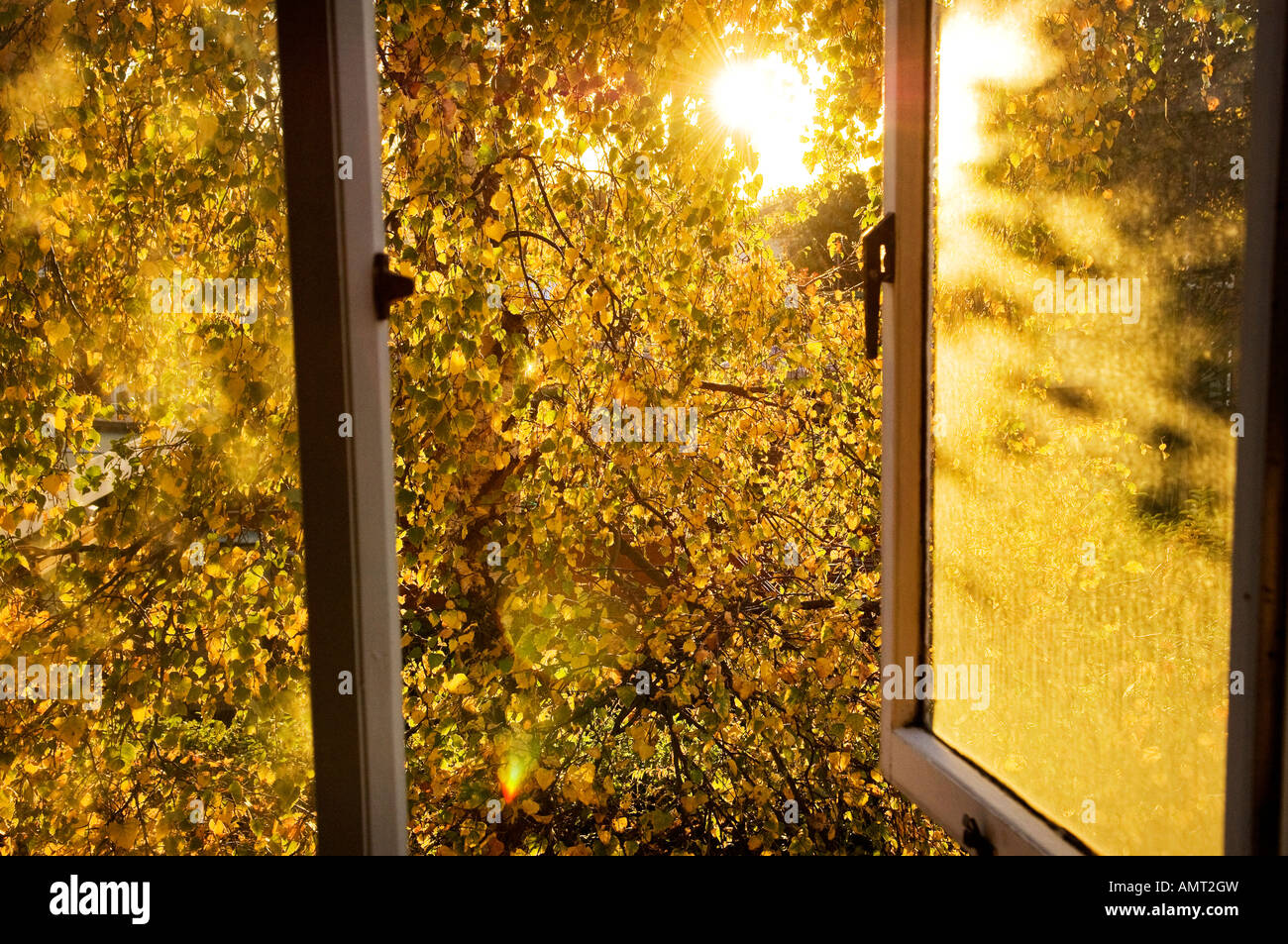 Looking through an open window at sunlight shining through the autumn ...