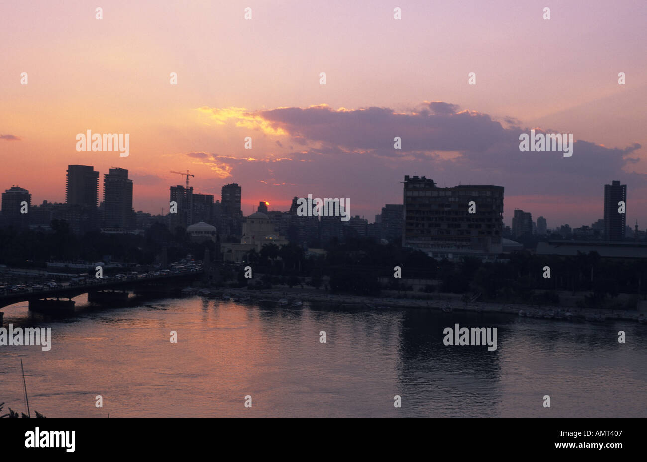 Nile crane hi-res stock photography and images - Alamy