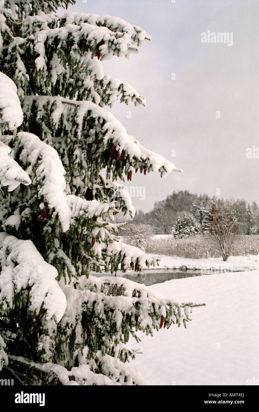 Winter in Estonia Stock Photo - Alamy
