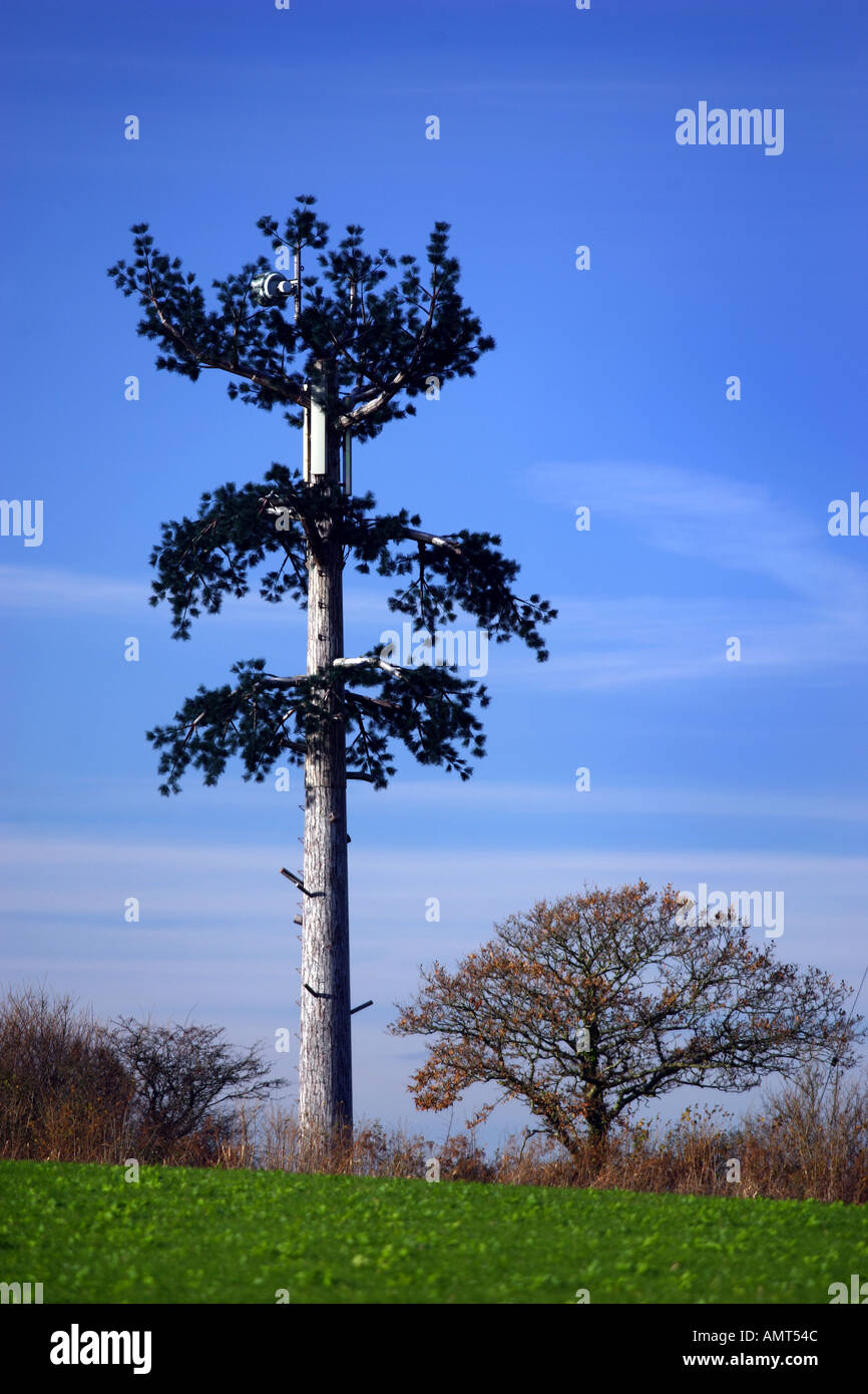 Mobile phone mast disguised as a tree hi-res stock photography and ...