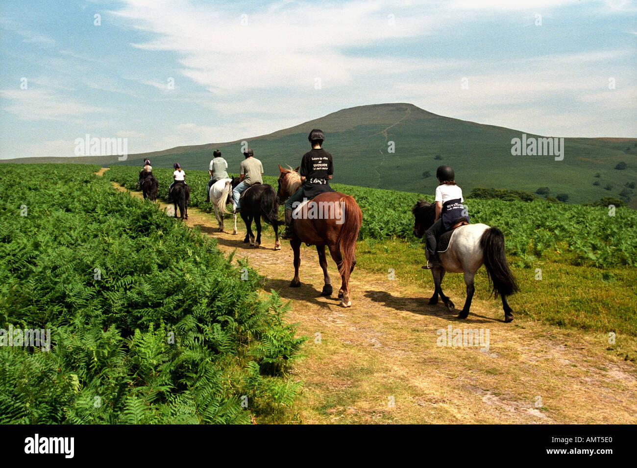 Sugar rider hi-res stock photography and images - Alamy
