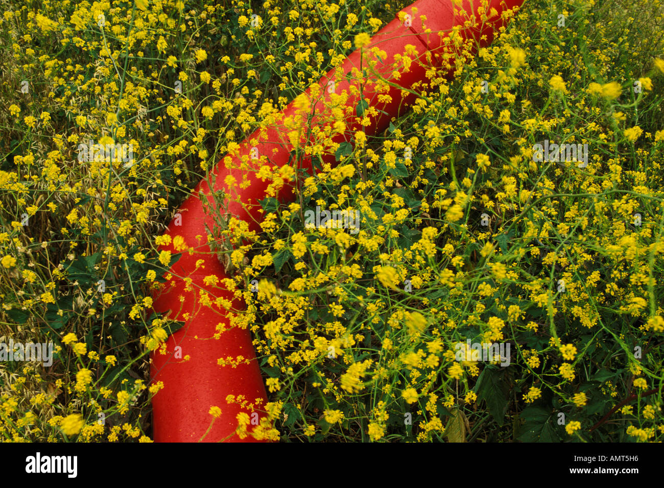 California solano county hi-res stock photography and images - Alamy