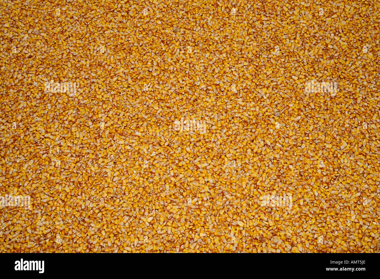 Patterns, Yellow Corn kernels Stock Photo - Alamy