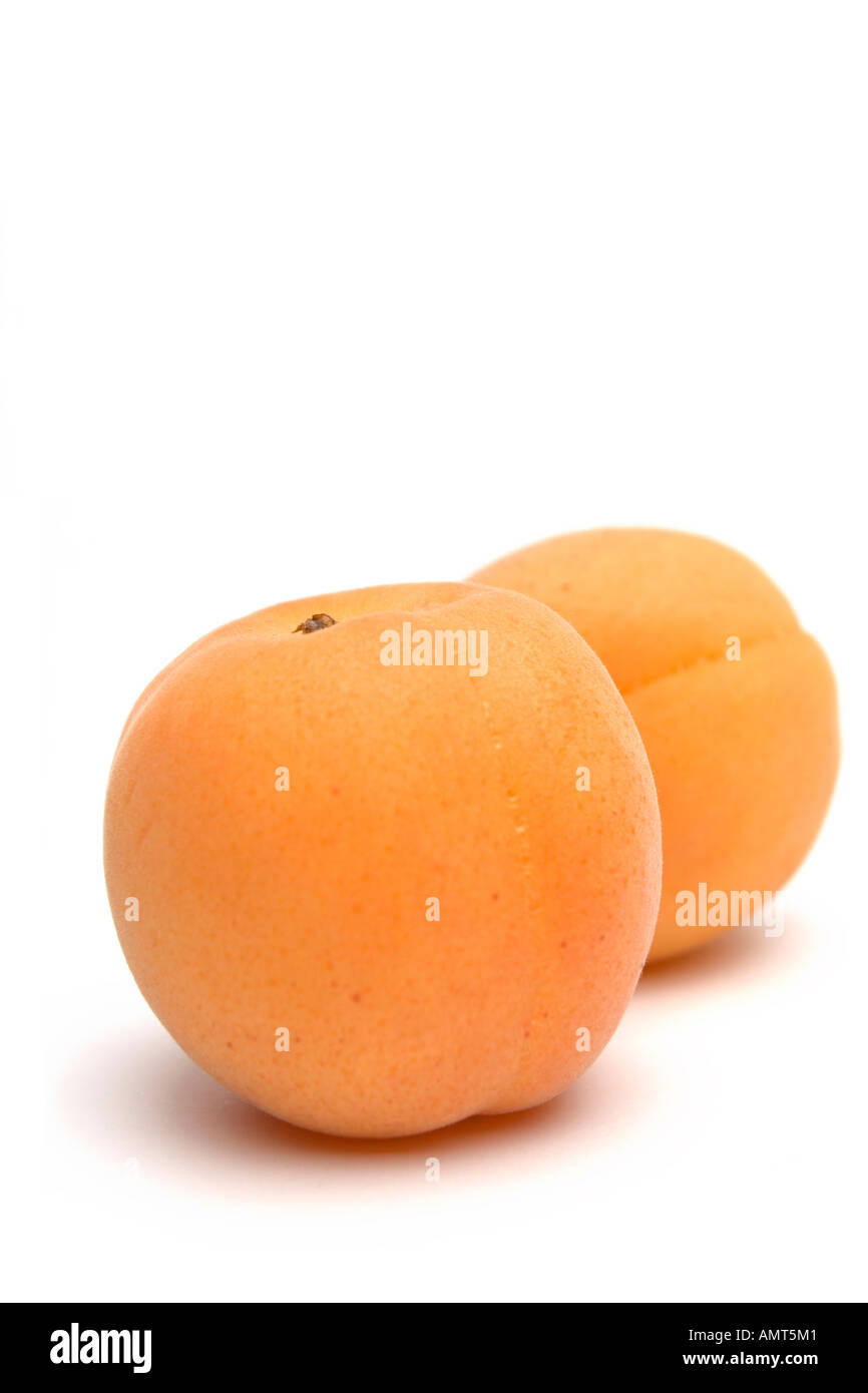 Two Apricots on white background Stock Photo - Alamy