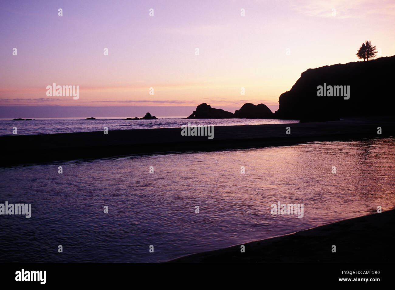 California, Mendocino County, Navarro River Redwoods State Park, Beach ...