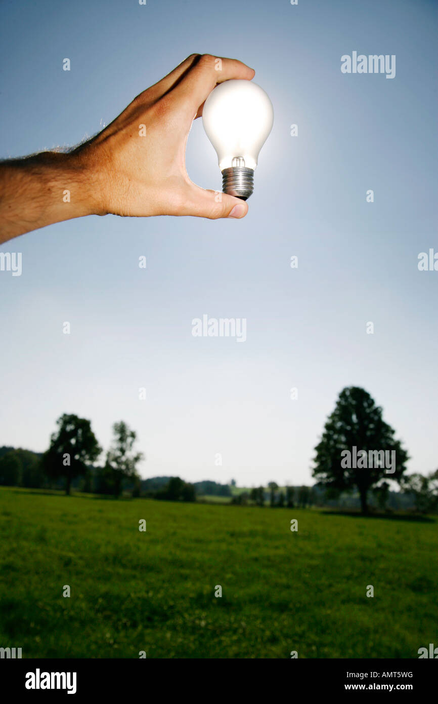 Bright sun glare against green hi-res stock photography and images - Alamy