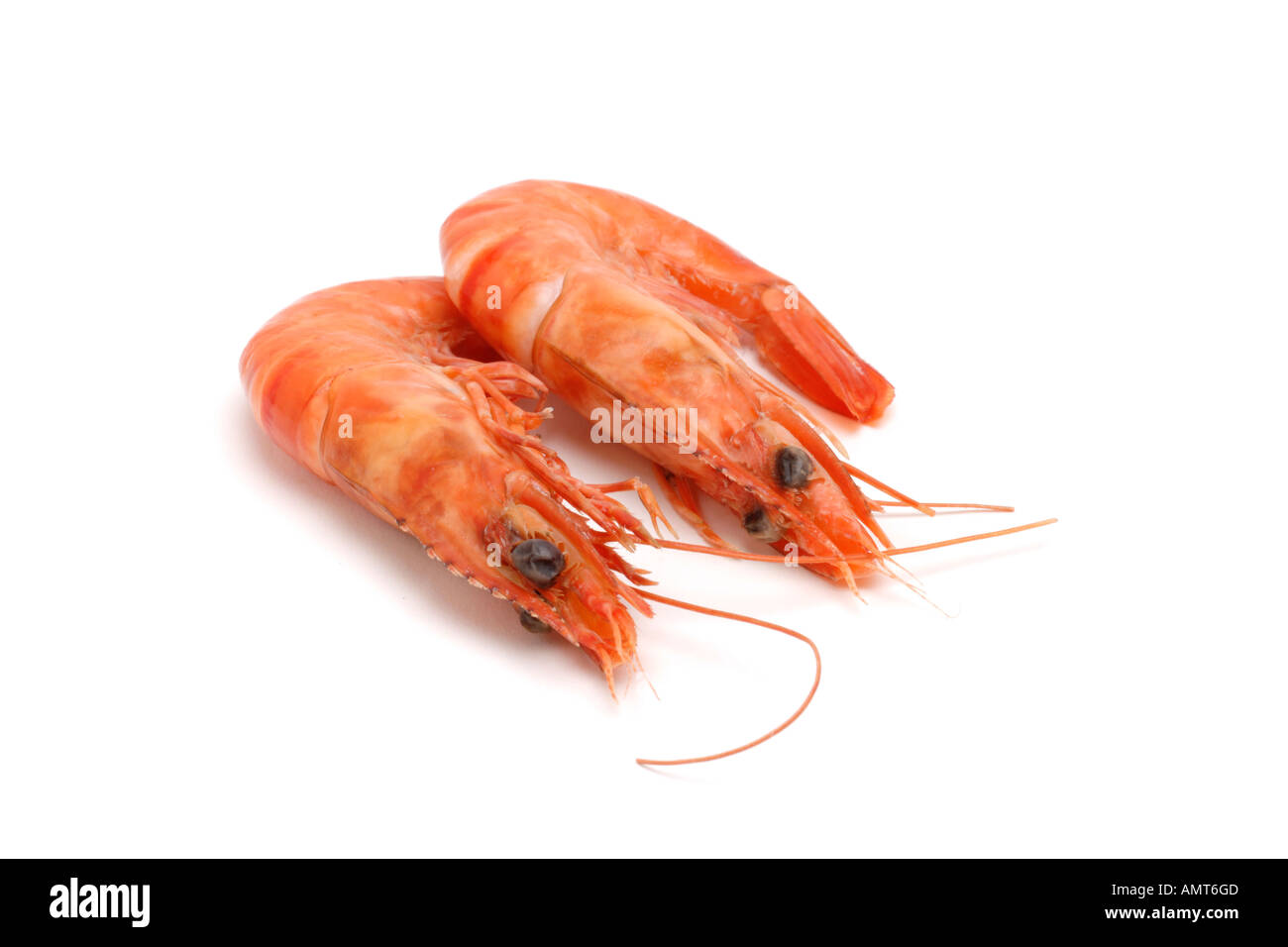 Cooked prawns crevettes Stock Photo - Alamy