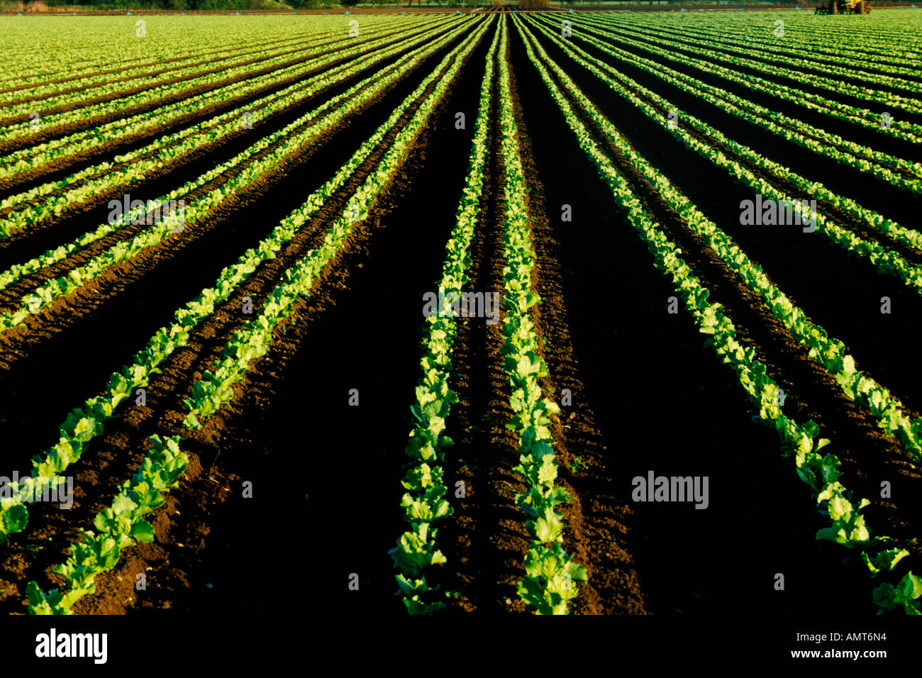 Monterey county farm hi-res stock photography and images - Alamy