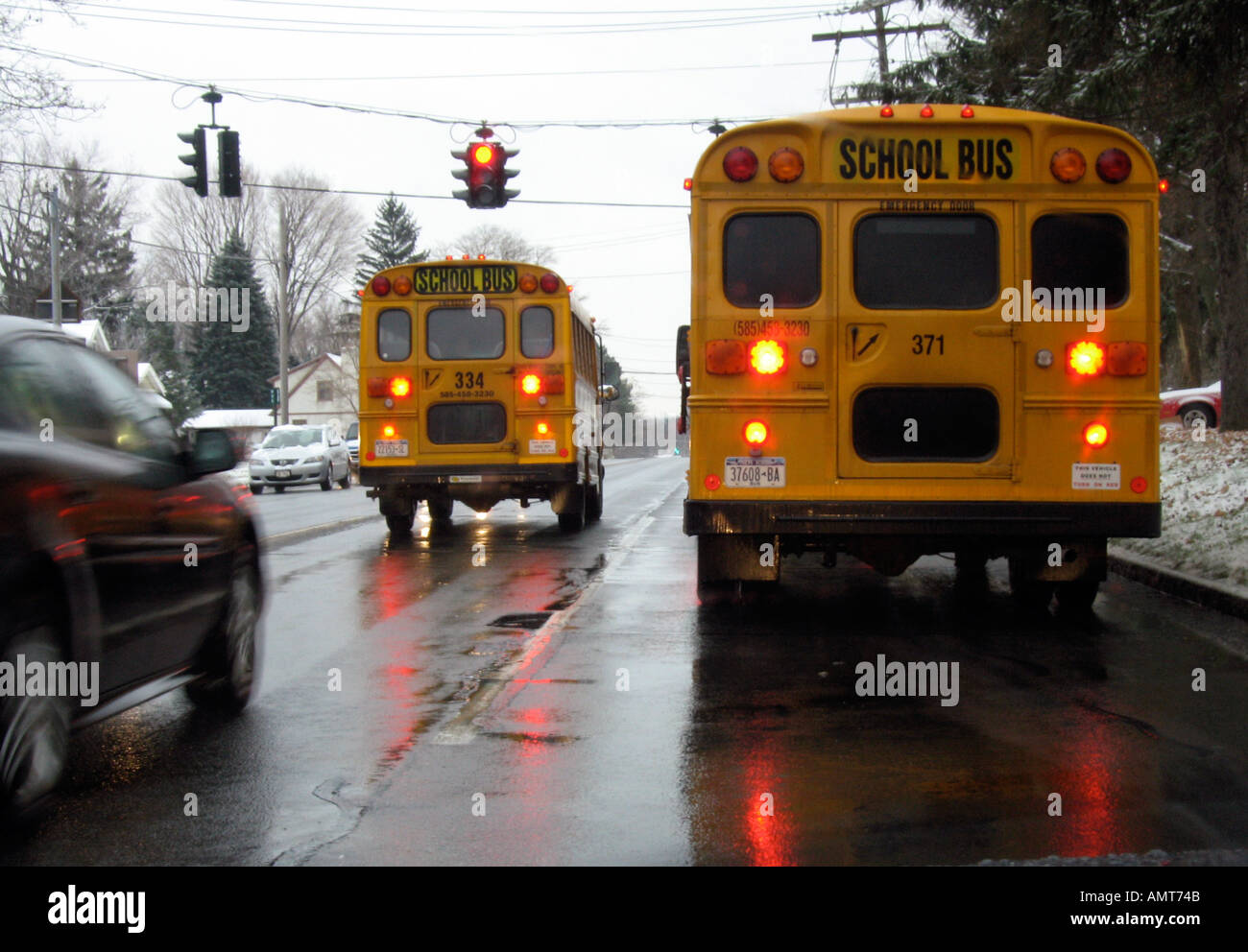 School buses in the rain Stock Photo - Alamy