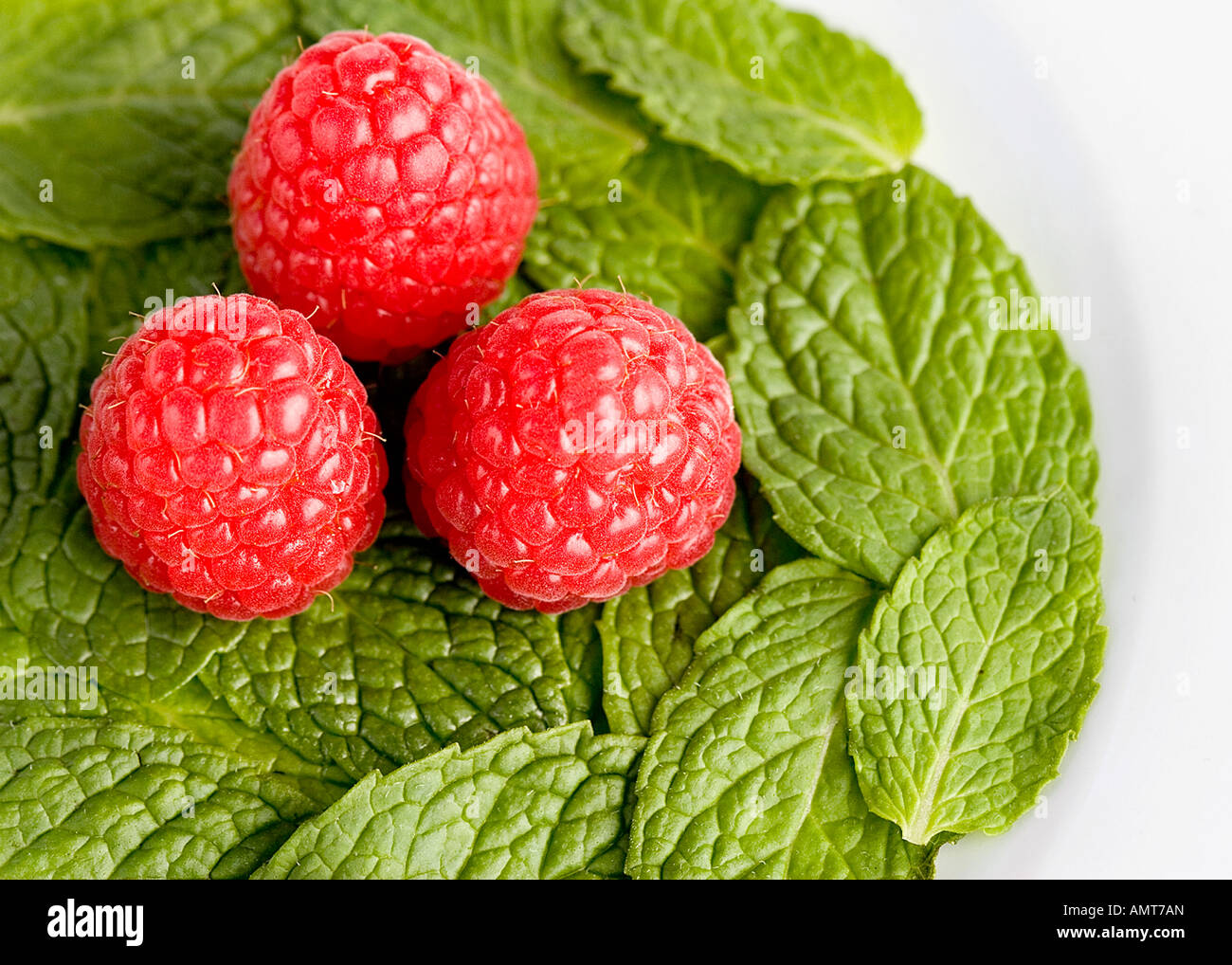 A plate of raspberry on mint leaves Stock Photo - Alamy