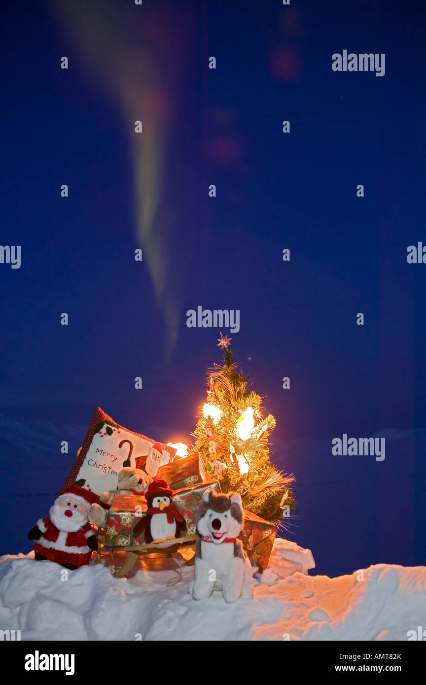 Alaska, winter, Northern Lights, christmas setting with Northern Lights ...