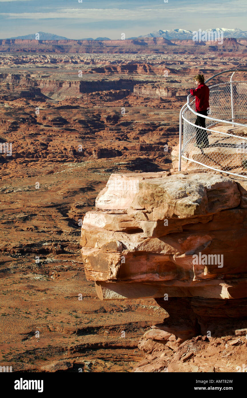 Needles Overlook, The Needles, Canyonlands National Park, looking from ...