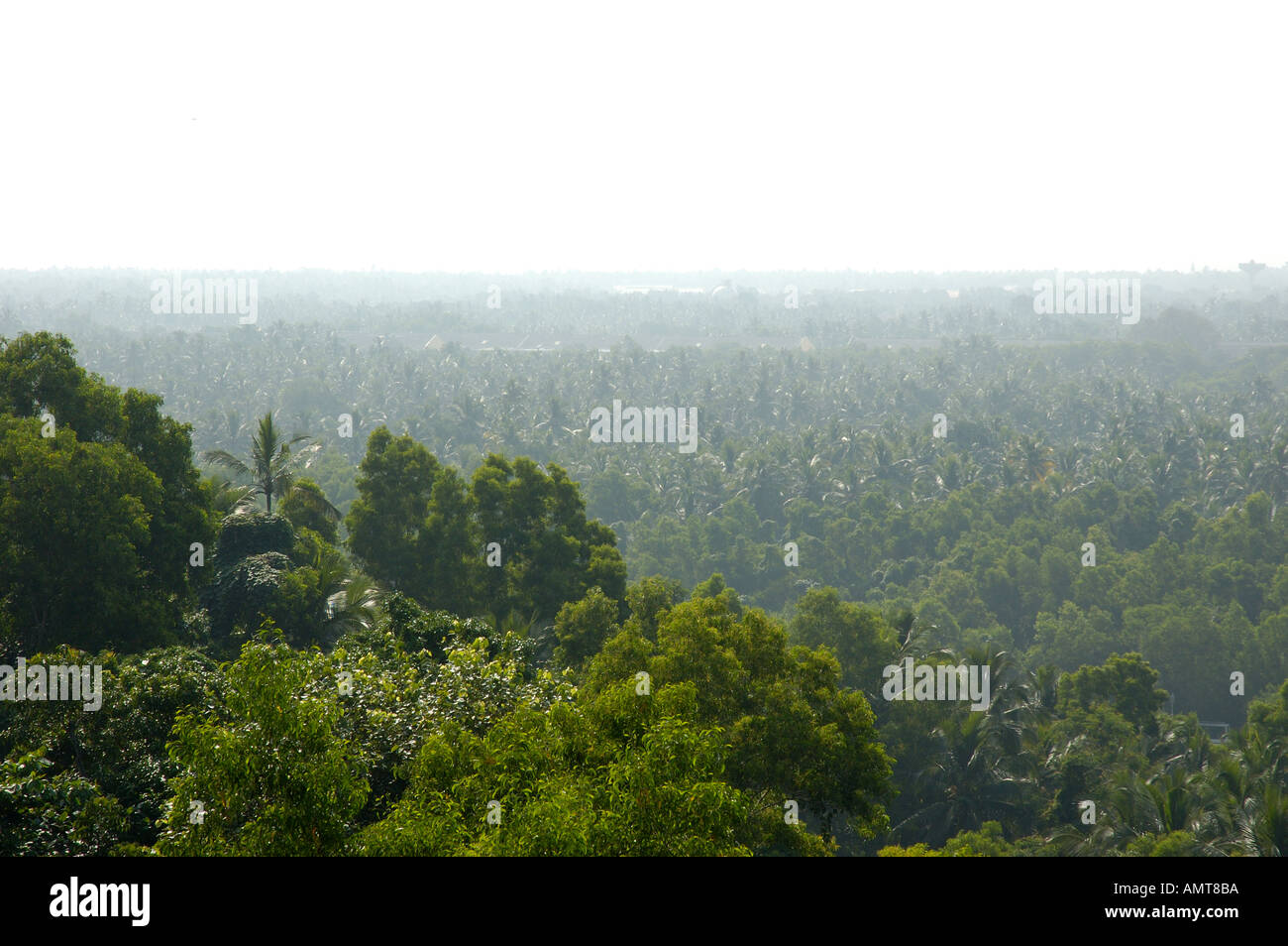 Trivandrum technopark kerala hi-res stock photography and images - Alamy