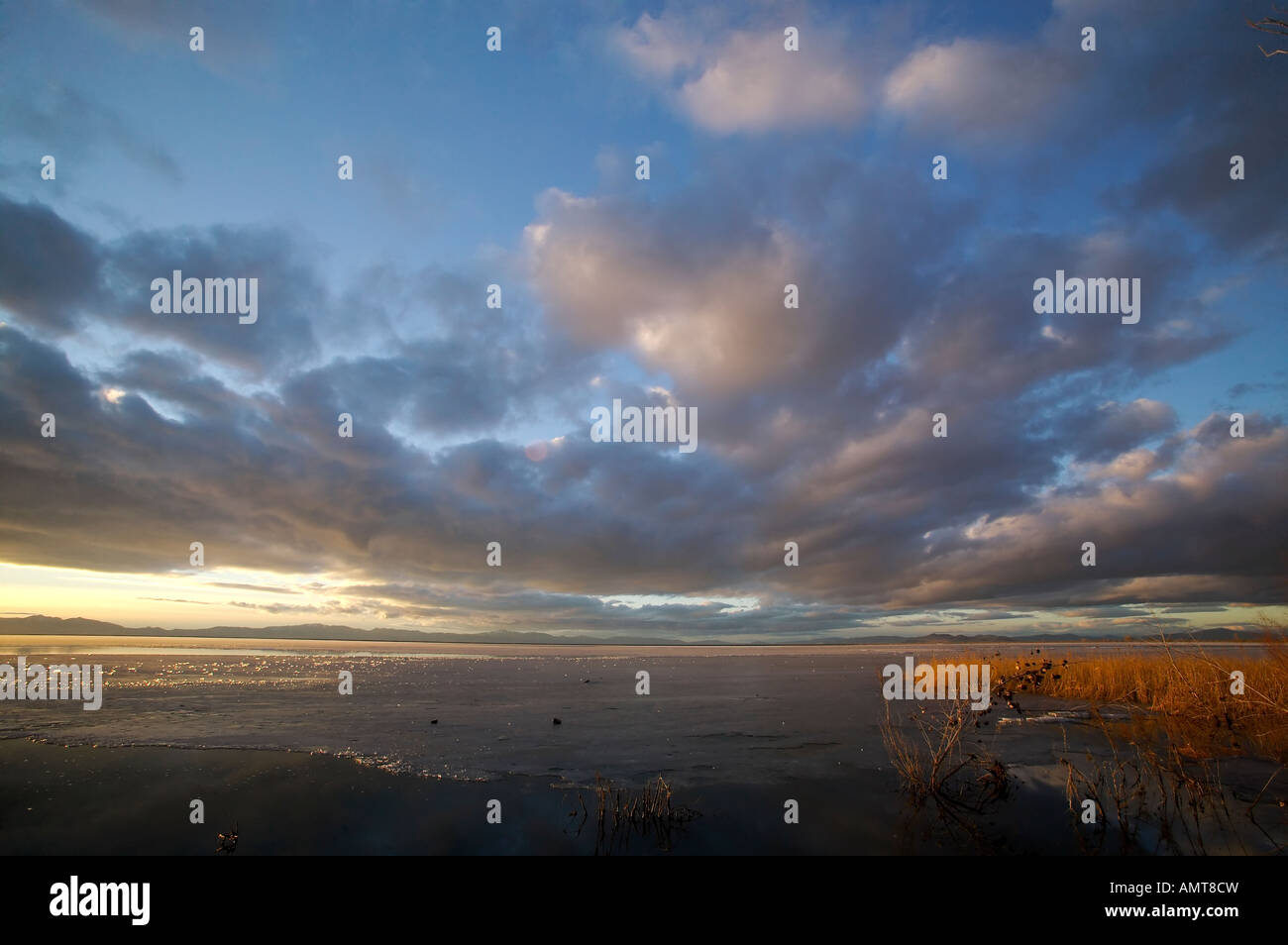 Willard utah hi-res stock photography and images - Alamy