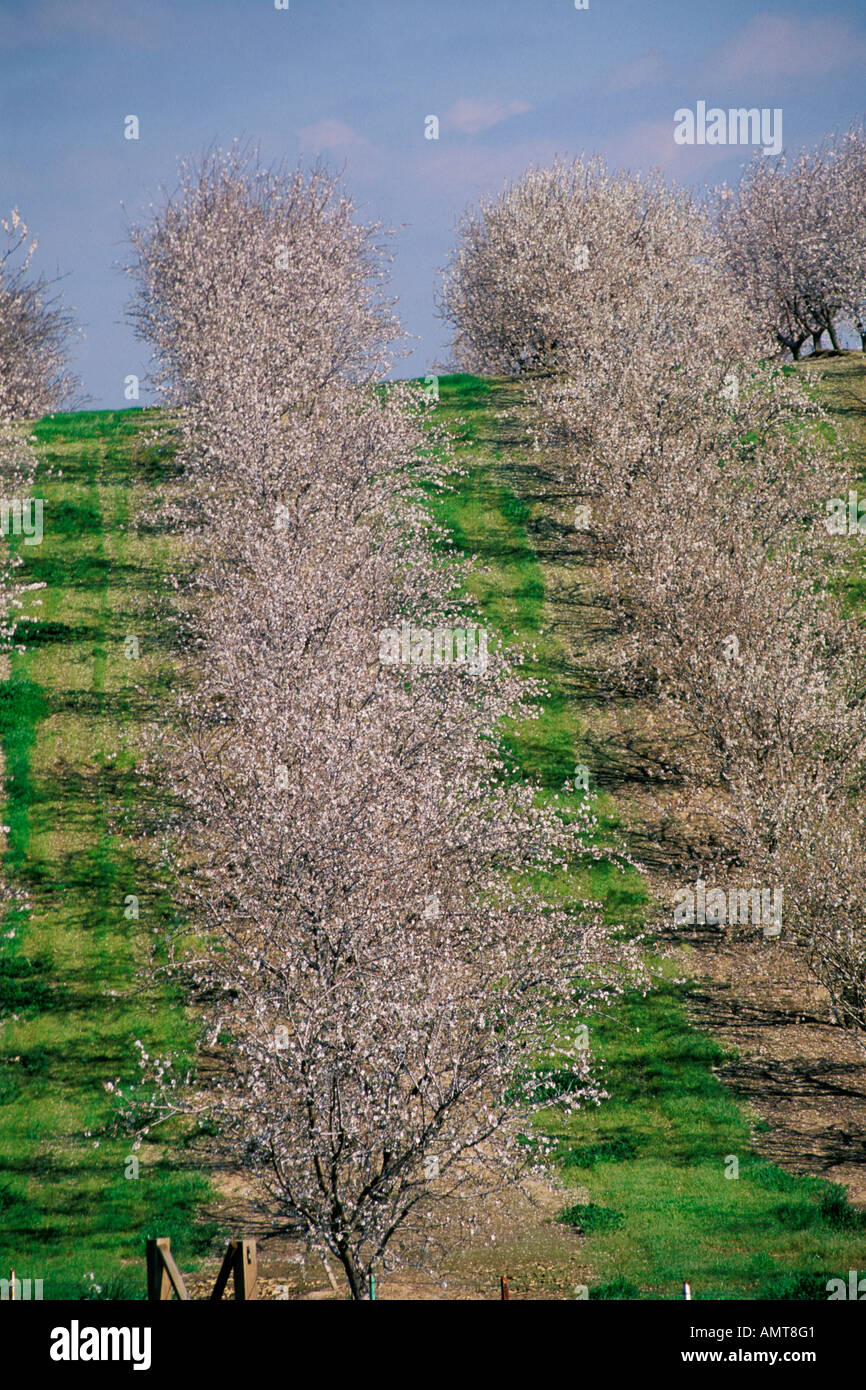 Central valley california economy hi-res stock photography and images ...