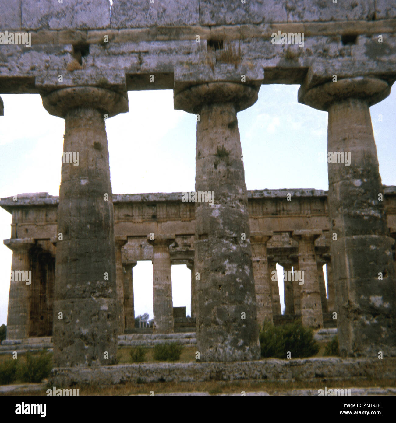 Close-up of Temple Columns at Paestun Stock Photo - Alamy