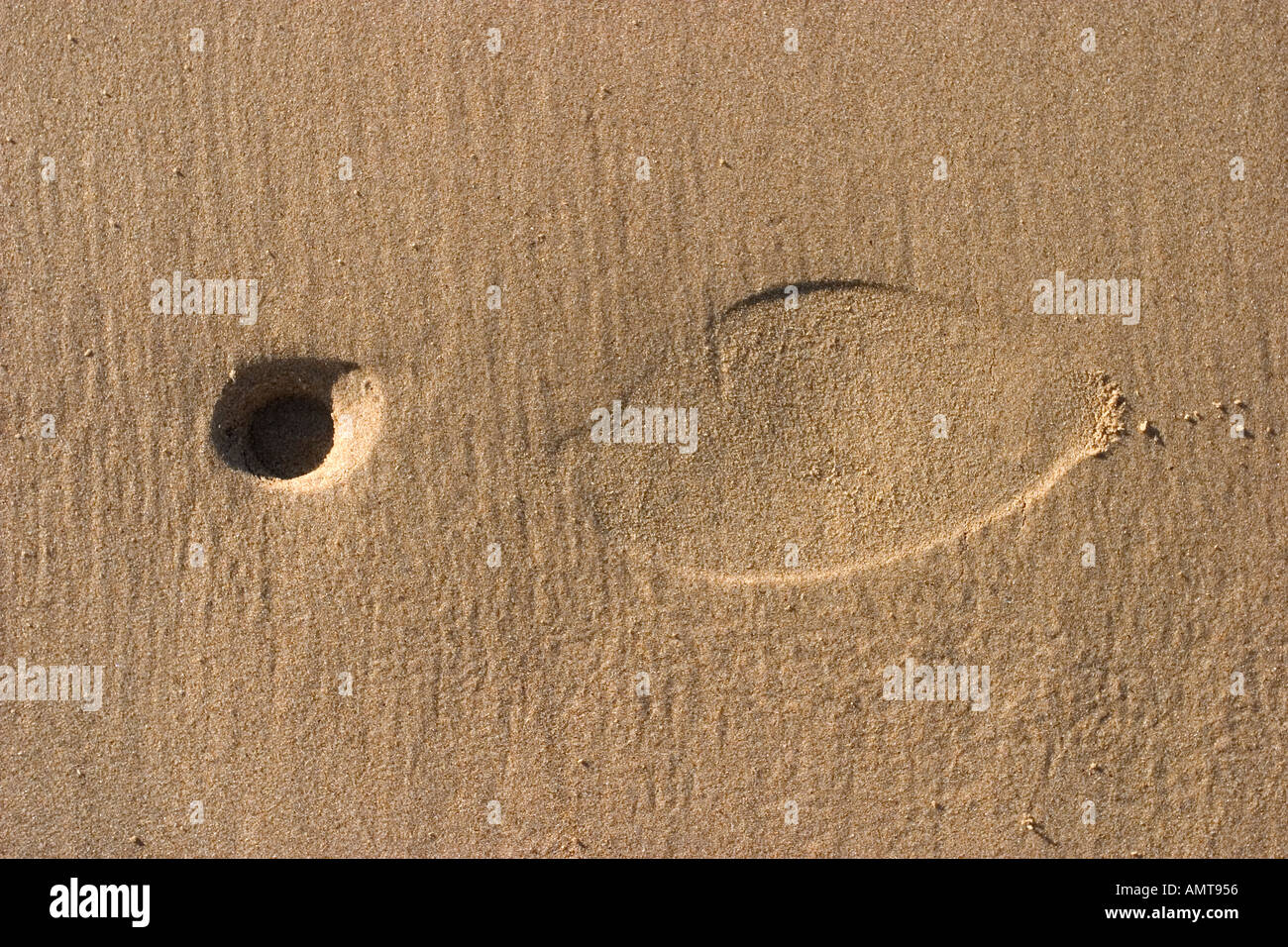Female woman footprints on sandy beach Stock Photo - Alamy