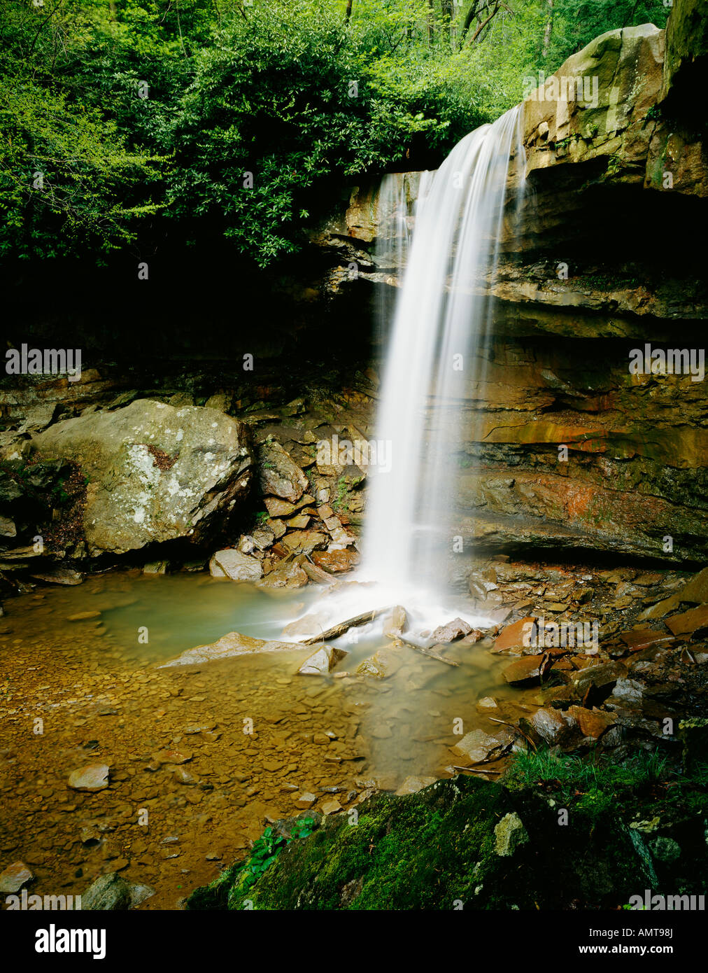 Cucumber Falls Ohiopyle State Park In Western Pennsylvania, USA Stock ...