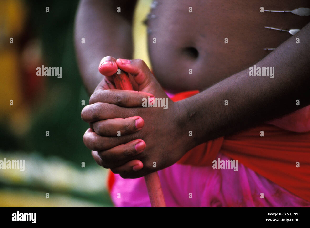 Cavadee High Resolution Stock Photography and Images - Alamy